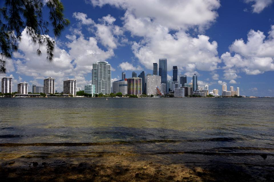Miami - Biscayne Bay | Shutterbug